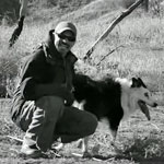 David Lee Roth: Dog World | Van Halen News Desk