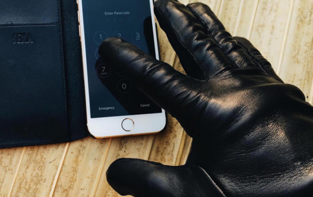 David Lee Roth's Stalker